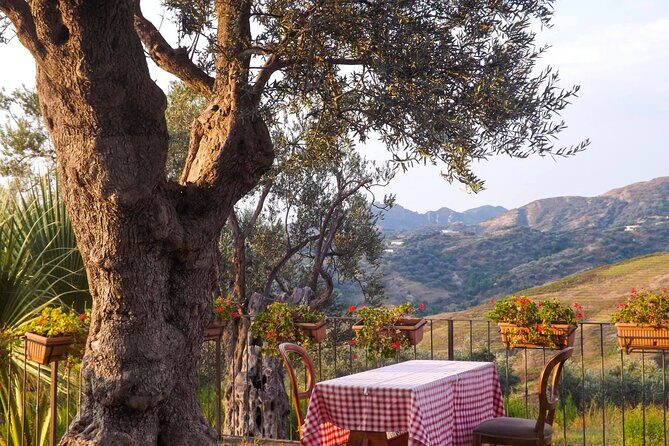 Wine Tasting & Vineyards Escape near Tirana - What Travelers Are Saying