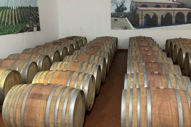 Wine Tasting & Vineyards Escape near Tirana - Who Will Love This Tour?