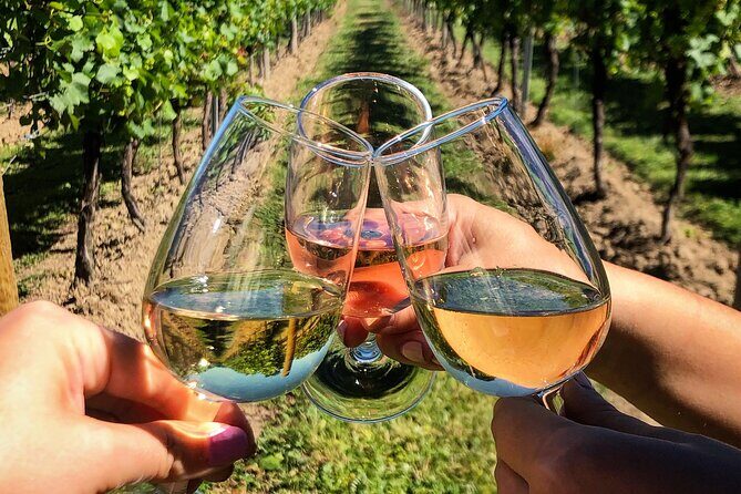 Wine Tasting & Vineyards Escape near Tirana - The Sum Up