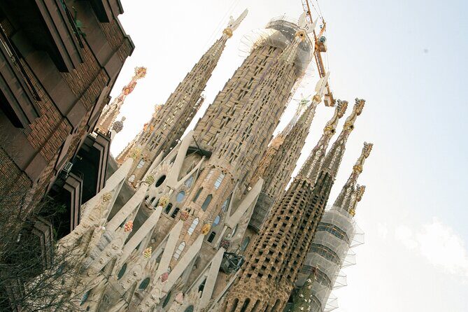 Wine tasting with a view of the Sagrada Familia - Final Thoughts