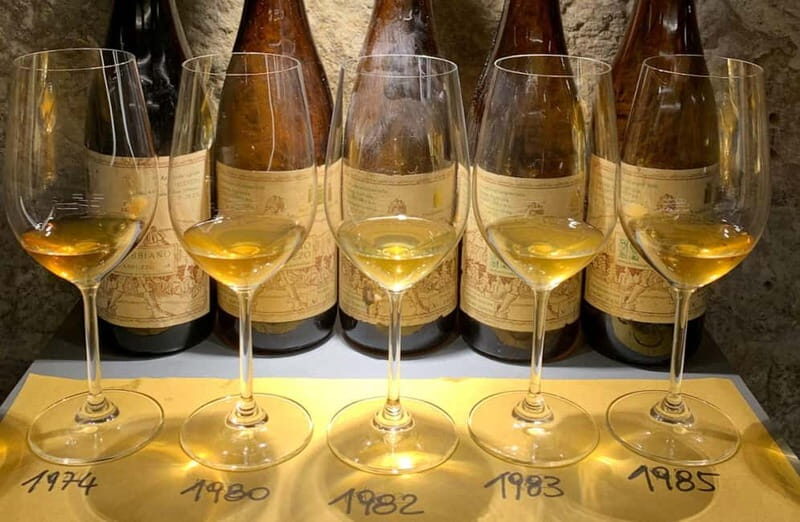 Wine Tasting with Local Bites in Pisa near the Tower - What’s Included and What to Expect