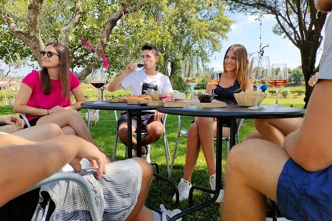 Wine Tasting with Local Food in Lazise Countryside - Introduction: What Makes This Wine Tasting in Lazise Special  