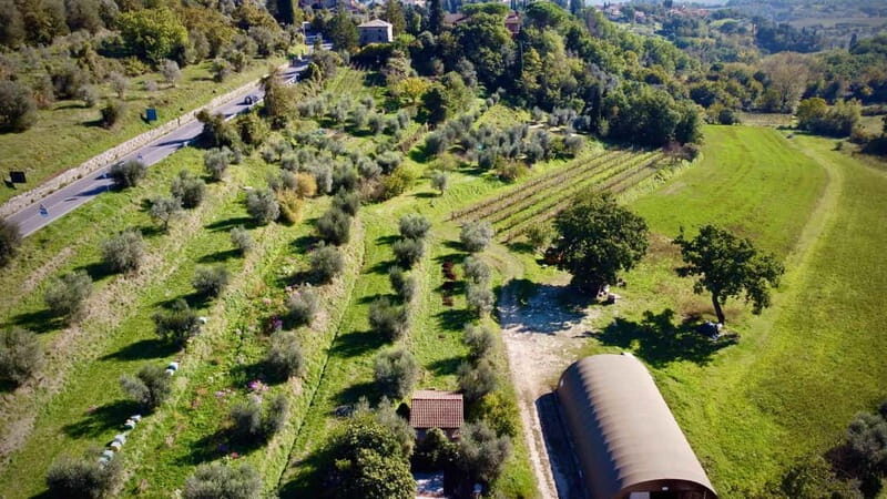 Wine Tasting with Local Food near Montepulciano - A Closer Look at the Wine Tasting Experience in Tuscany