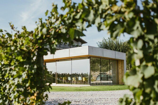 Wine Tasting with Pairing Snacks in Vipava Valley - Detailed Breakdown of the Itinerary