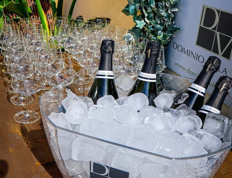 Wine Tasting with Professional Sommelier in centre Valencia - Who Will Love This Tour?