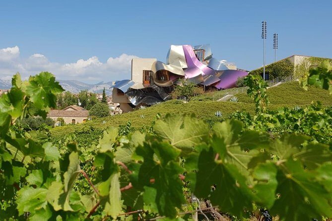 Wine Tour: 2 Wineries From Logroño - Why This Tour Works Well