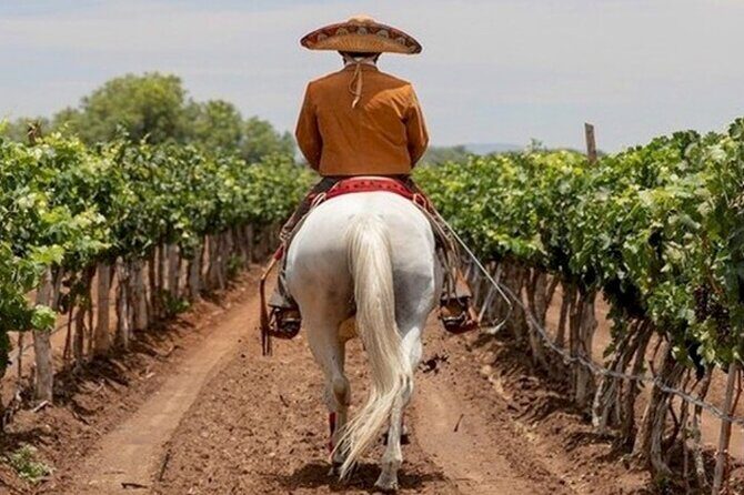 Wine Tour and Horseback Ride through the Mountains of Guanajuato - Key Points