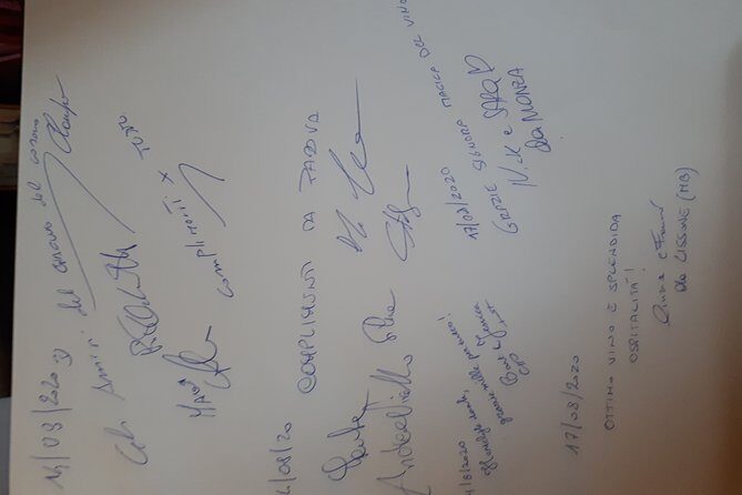 Wine Tour and Tasting at Le Marche's Oldest Wine Estate - Introduction