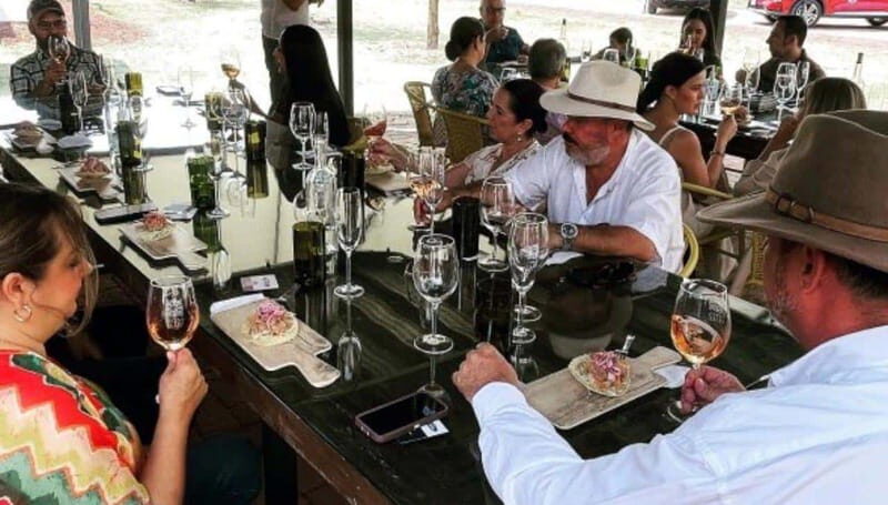 Wine tour and tasting at Vinícola Tierra de Luz - Key Points