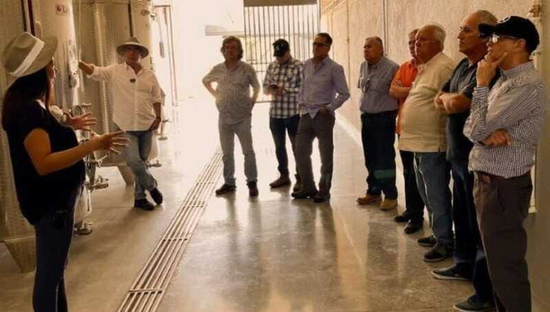 Wine tour and tasting at Vinícola Tierra de Luz - Who Would Enjoy This Tour?