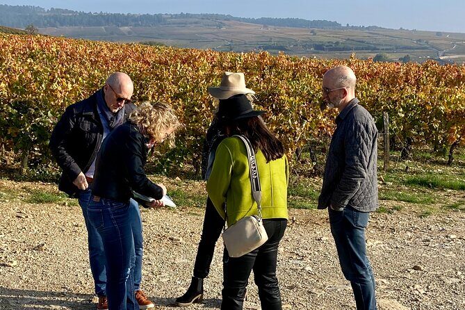 Wine tour and tasting in Burgundy - Final Thoughts on the Burgundy Wine Tour in Meursault