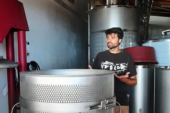 Wine tour and Tasting with a local Winemaker at Pico Island - Savoring the Wines at Solar Terra Brum