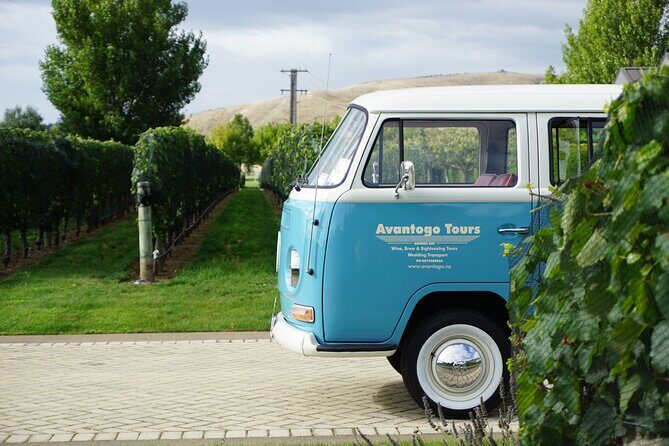Wine Tour and Tastings in Hawkes Bay - Transportation & Group Size