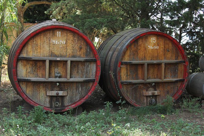 Wine Tour Bandol & Cassis from Marseille - The Value of This Provence Wine Tour