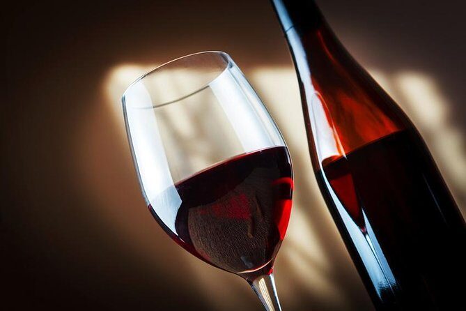 Wine Tour Bandol & Cassis from Marseille - FAQ: Practical Questions Answered