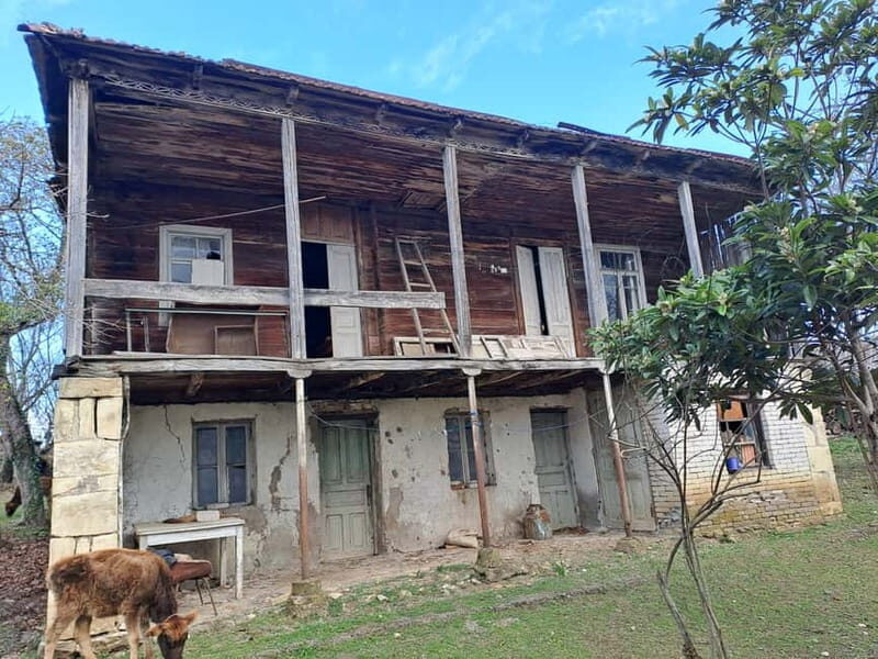 Wine Tour by Winemaker - An In-Depth Look at the Wine Tour Experience