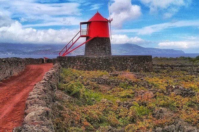 Wine Tour - Who Should Do This Tour?