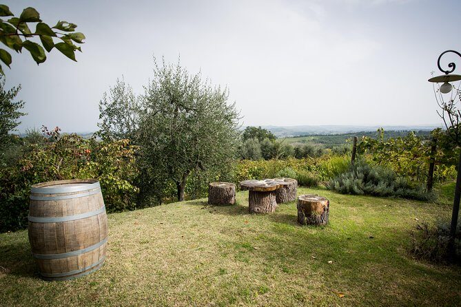 Wine Tour Experience at Agricola Tamburini - Who Should Consider This Tour?