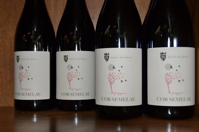 Wine Tour Experience for Family or friend's group - Frequently Asked Questions