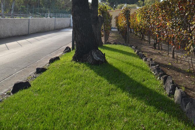 Wine Tour Experience for Family or friend's group - Final Thoughts