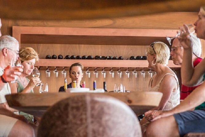 Wine Tour in Nemea from Nafplio - Who Should Consider This Tour?