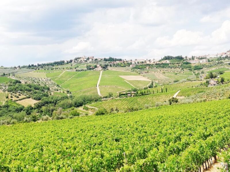 Wine Tour in Open Top Van - What You Should Consider