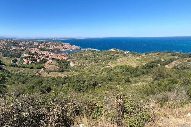 Wine Tour in Roussillon: Picnic & Tasting Day - Key Points