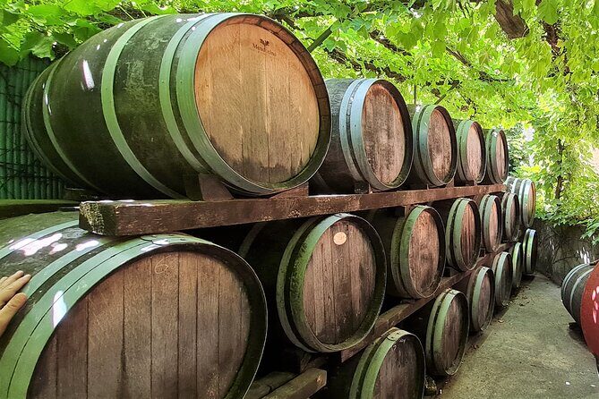 Wine Tour in Roussillon: Picnic & Tasting Day - FAQ