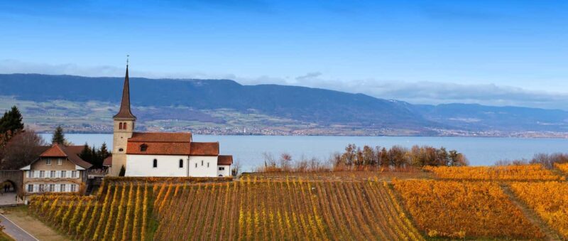 Wine tour in the canton of Vaud - Lavaux vineyards - A Closer Look at the Tour Experience