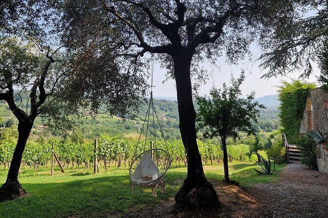 Wine Tour in the Countryside of Lucca with Lunch - with Minivan - Key Points