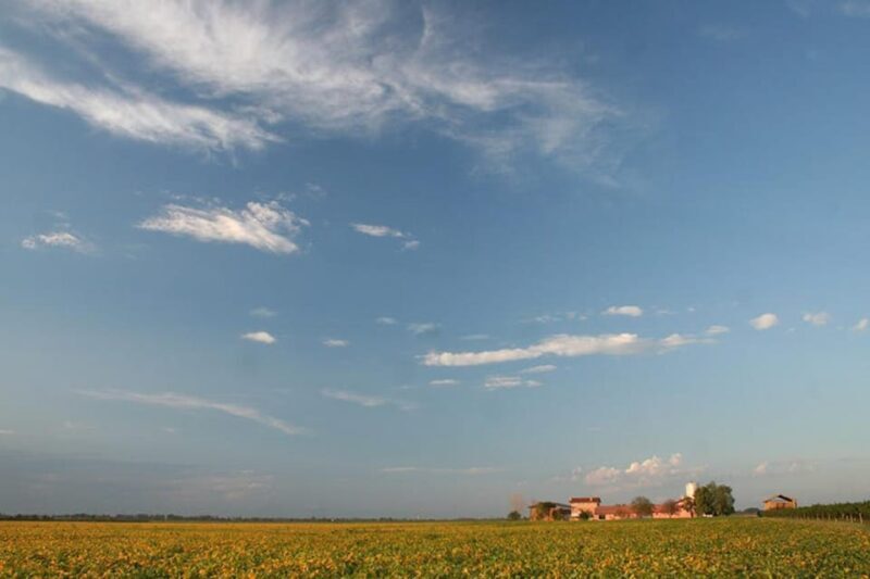 Wine Tour in the Hemingway lands close to Caorle Lagoon - The Scenic Location and Setting