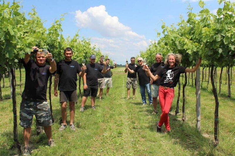 Wine Tour in the Hemingway lands close to Caorle Lagoon - Exploring the Winemaking Process