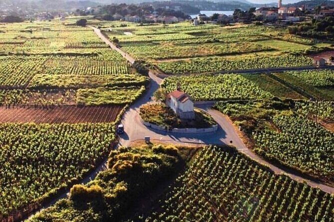 Wine tour Korula - private tour - Why Choose a Private Korcula Wine Tour?