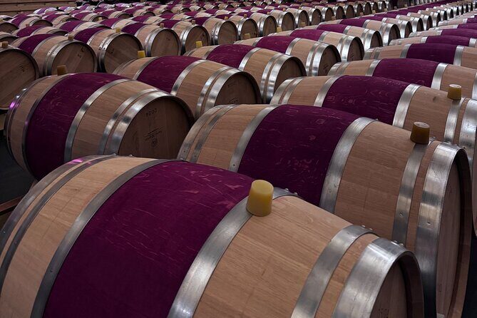 Wine Tour of Mèdoc : Châteaux, Tastings and WSET Guide - Transportation and Group Size Matter