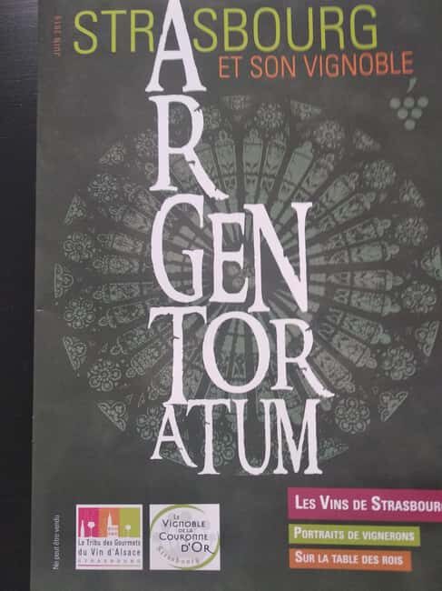 Wine tour of the Alsace wine route - First Winery Visit in Traenheim