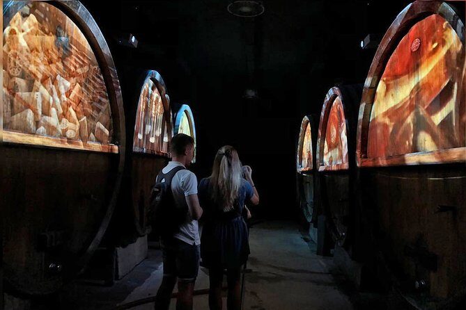 Wine tour, tasting and Alsatian meal - 100% immersive experience - Exploring the Alsace Wine & Culinary Immersion Near Strasbourg