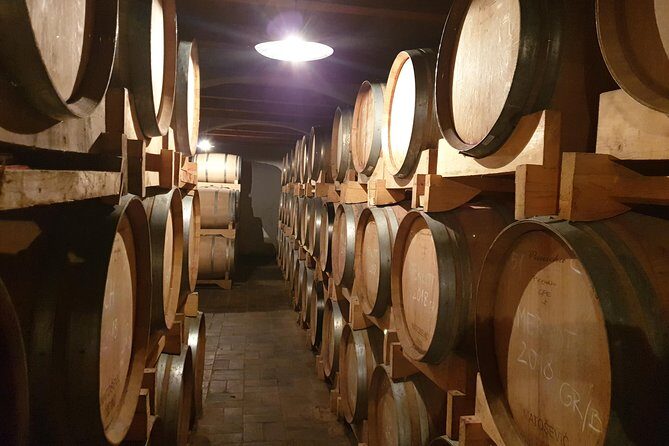 Wine Tour - The Best of Istria - Exploring the Best of Istria’s Wine and Culture