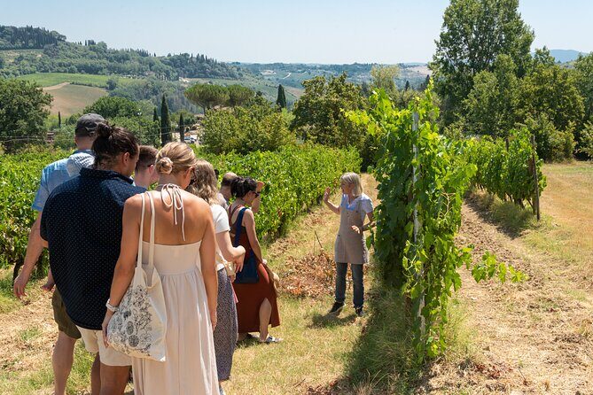 Wine Tour with Lunch and Wine Tasting - The Itinerary in Detail