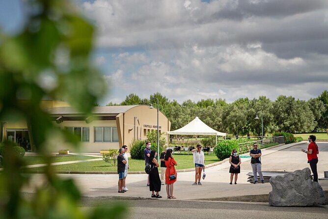 WINE TOUR with sommelier in a winery near Cagliari - A Deep Dive into the Sardinian Wine Experience