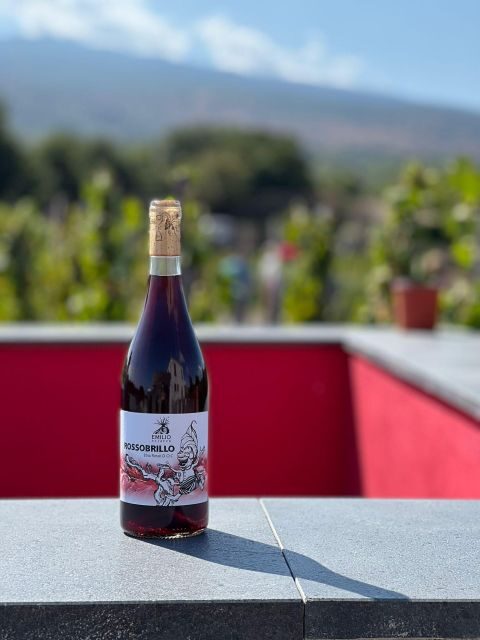 Wine tour with wine tasting - Key Points