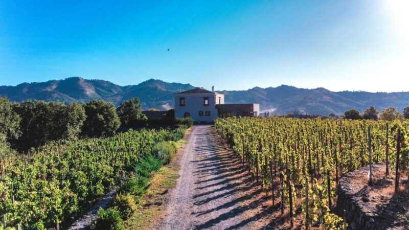 Wine tour with wine tasting - Visiting the Old Palmento