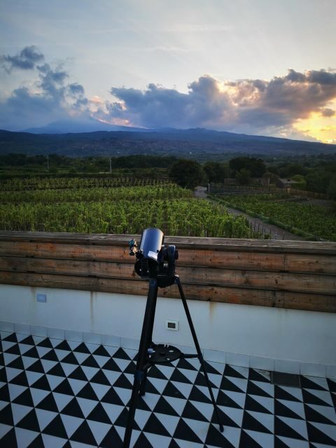 Wine tour with wine tasting - The Reviewers Perspective