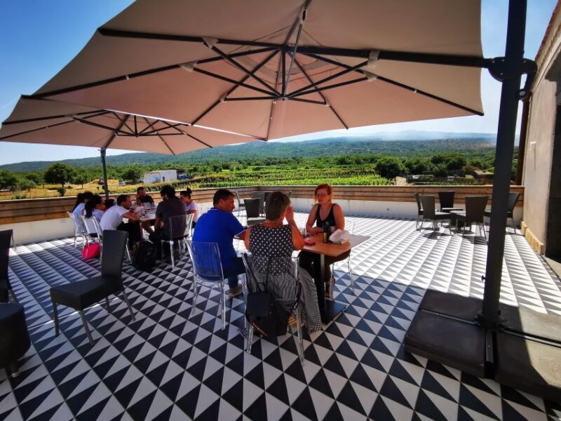 Wine tour with wine tasting - Who Is This Tour Best For?