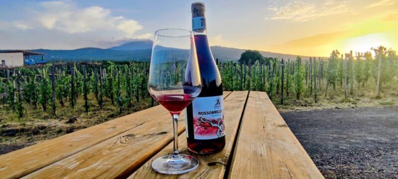 Wine tour with wine tasting - Final Thoughts