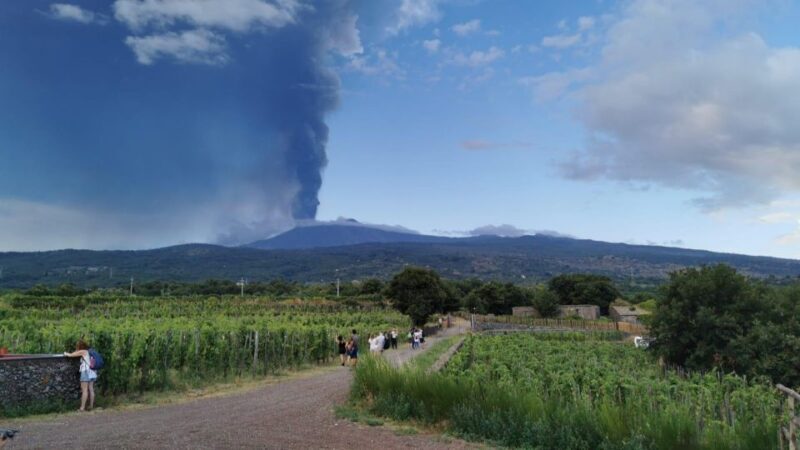 Wine tour with wine tasting - FAQ