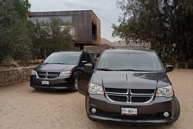 wine tours and driver service through valle de guadalupe, Ensenada B.C. Mexico - Pricing and Value