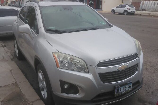 wine tours and driver service through valle de guadalupe, Ensenada B.C. Mexico - Practical Tips for Booking and Enjoying the Tour