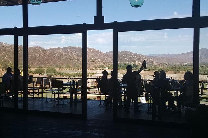 wine tours and driver service through valle de guadalupe, Ensenada B.C. Mexico - The Sum Up