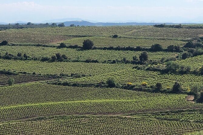 Wine Tours and Tastings from Béziers - An In-Depth Look at the Tour Itinerary