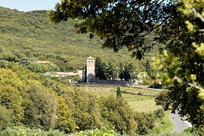 Wine Tours and Tastings from Béziers - The Sum Up: Who Will Love This Tour?